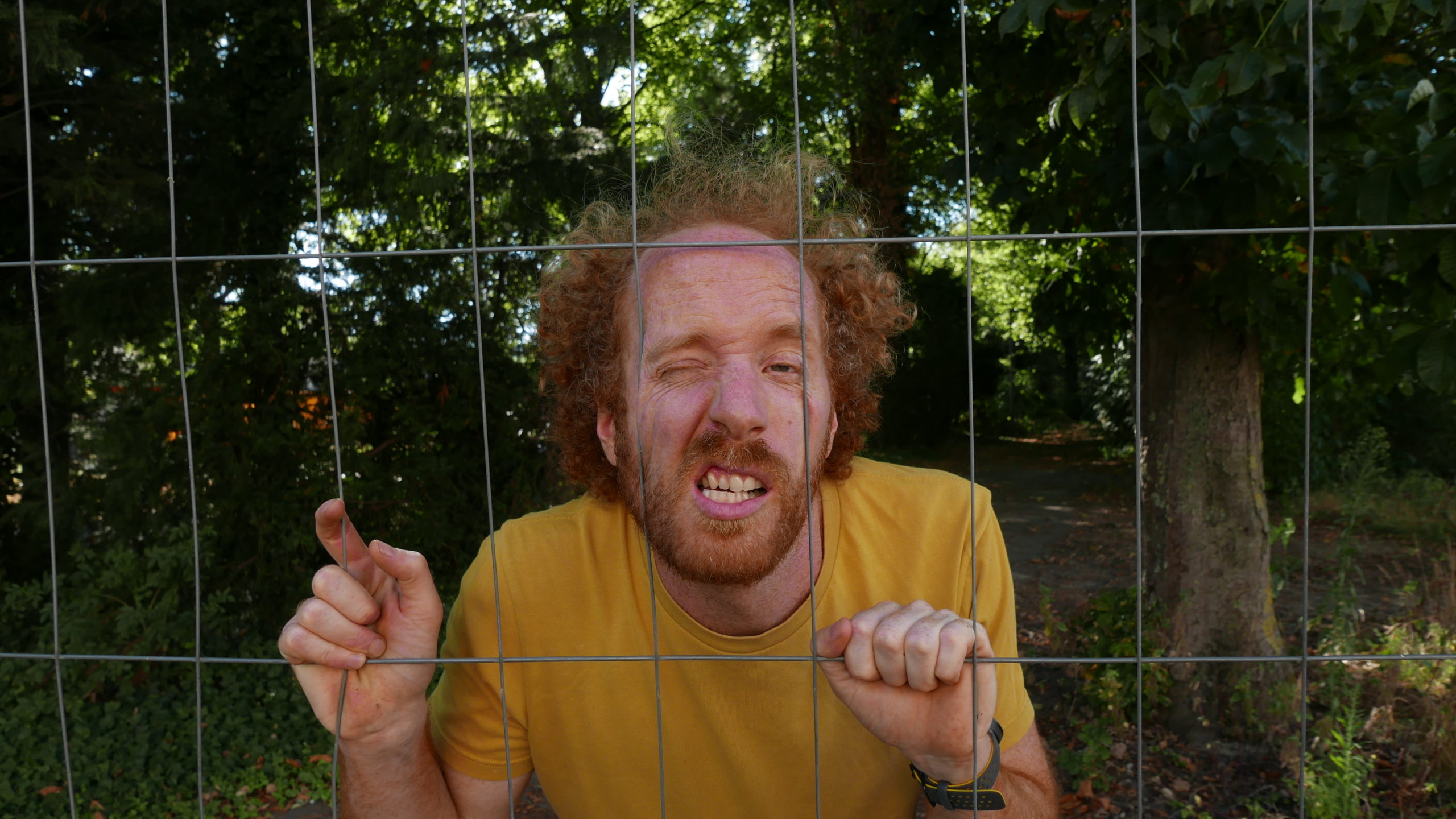 Een nieuwe artiest in het Collectief! - Collectif Curieux